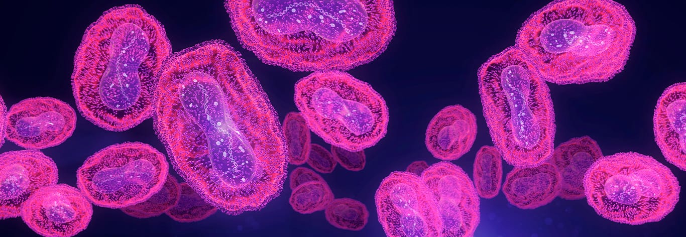 Medical Device Disinfectant Wipes | HEXI HUB | GAMA Healthcare